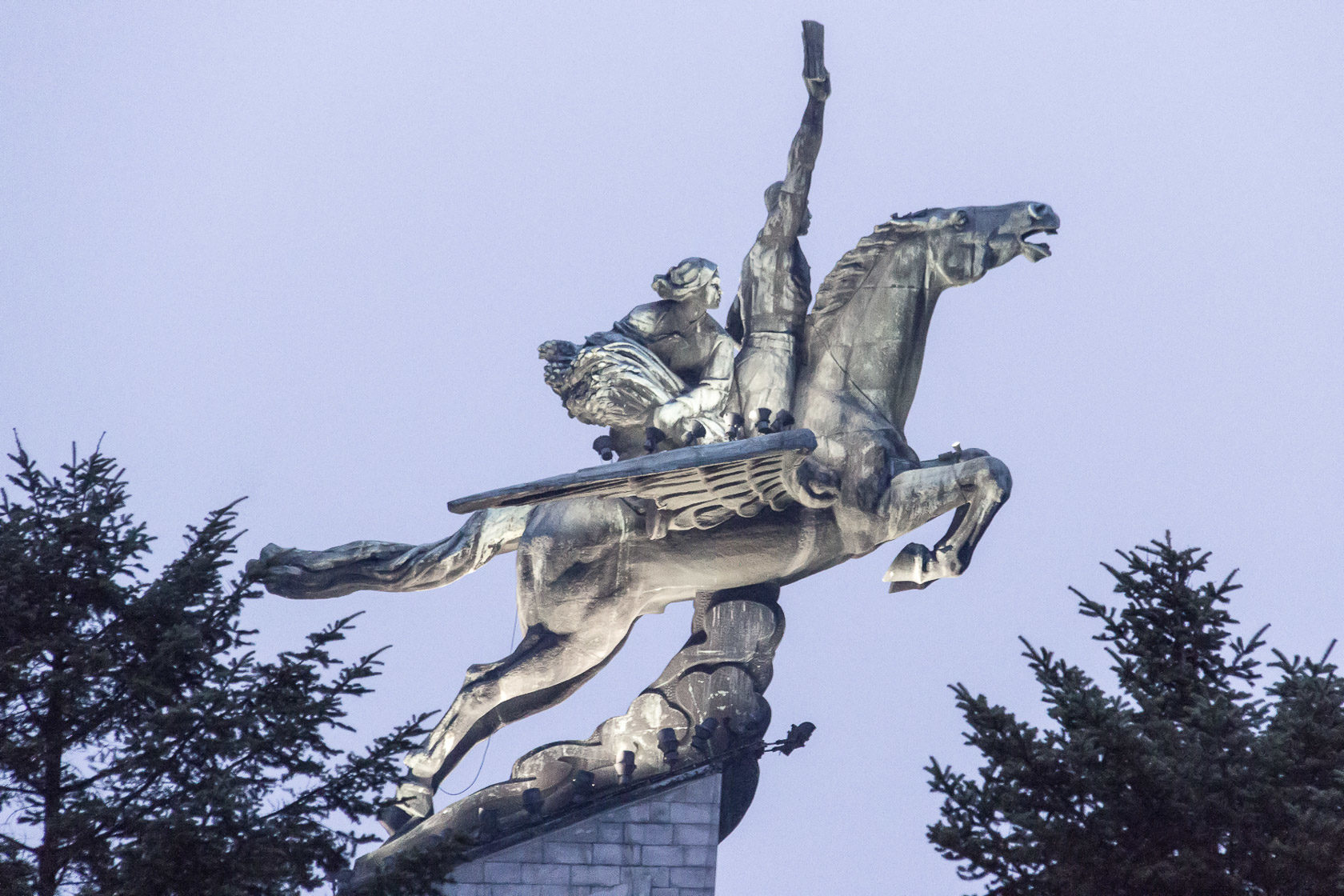 Wild at Heart – The adventures of a wildlife nurse